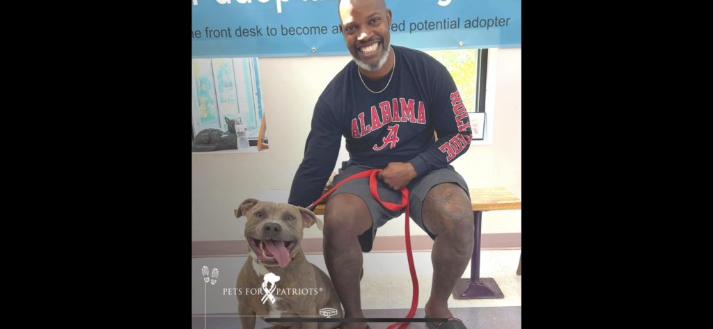 Pets for Patriots Help Veterans Adopt a New Pet Friend! - C5BDI
